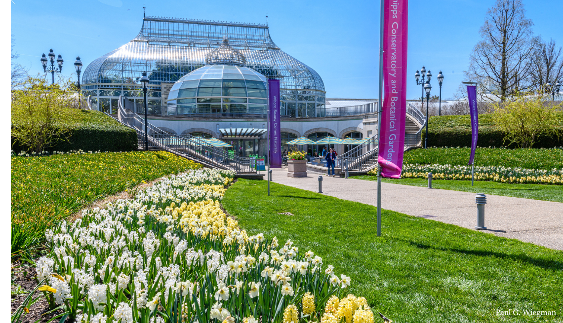 Virtual Tours with Phipps Conservatory