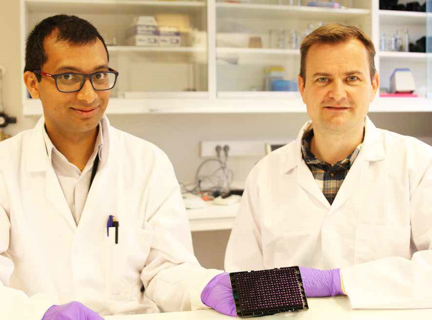 Unlocking Agrigenomic Potential: Practical Applications of Axiom Array ...